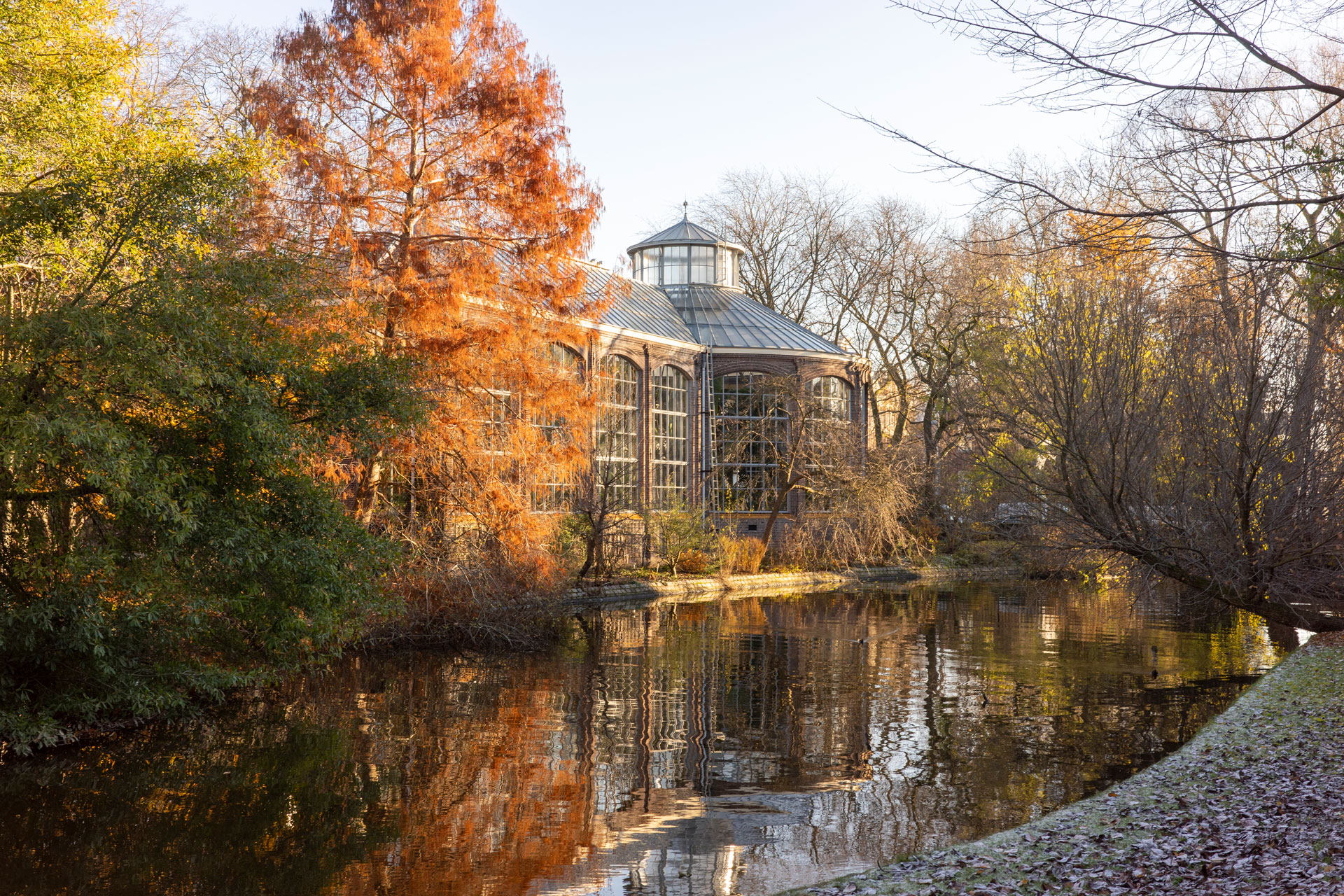 Best wishes from the Hortis Team - Botanical Software